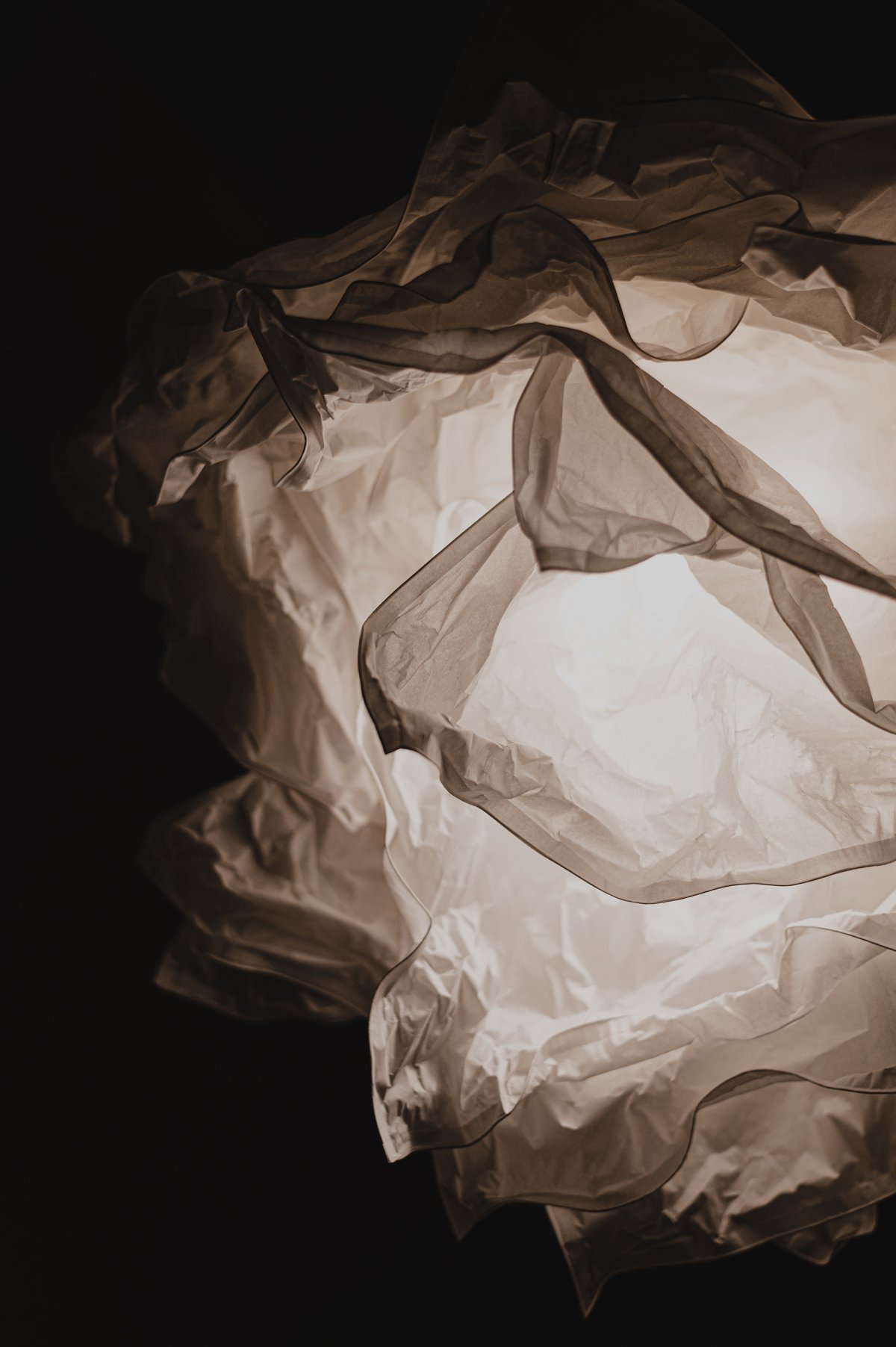 YINJISPACE - Rina Lovko x Rina Lovko Studio